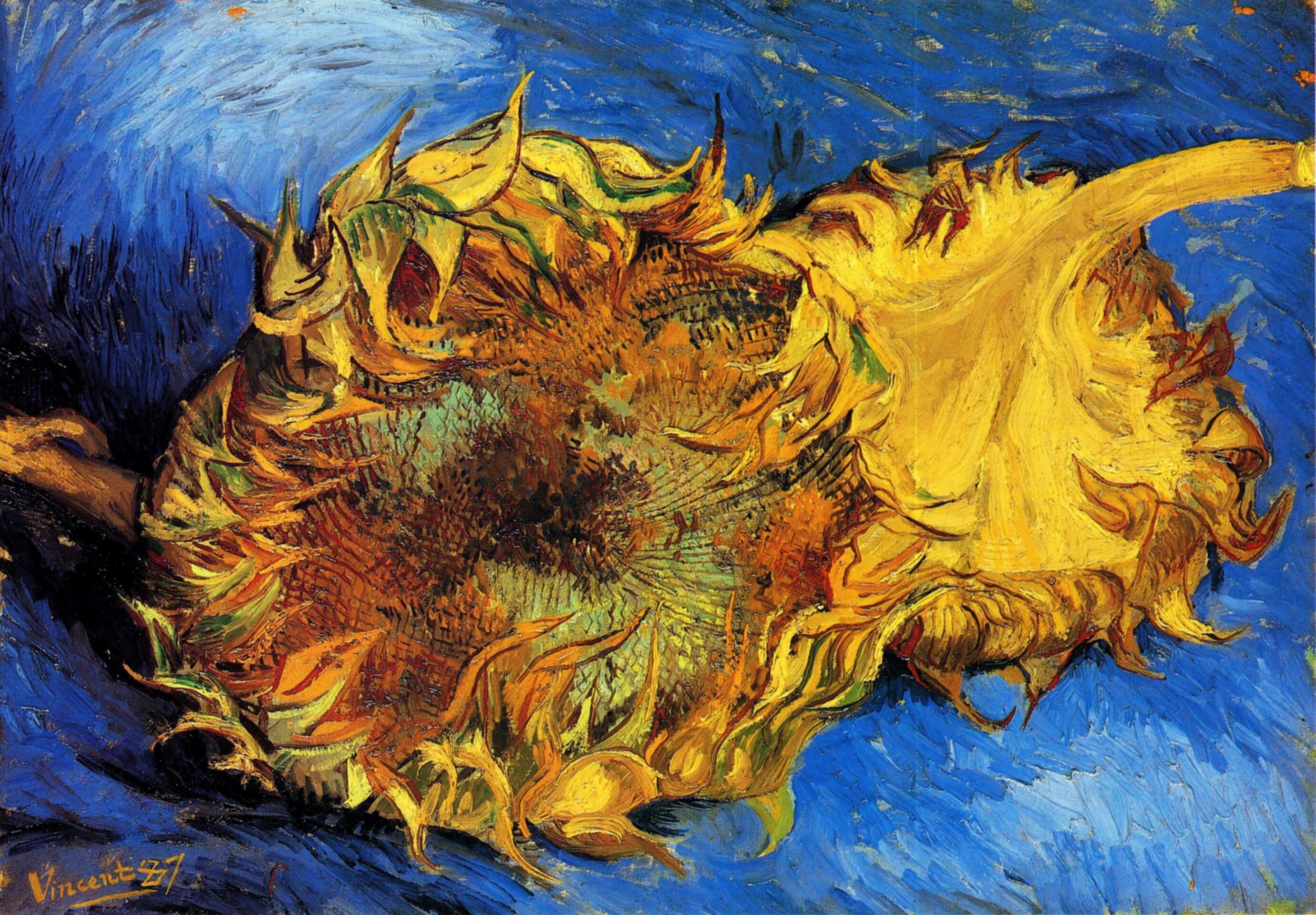 Sunflowers Vincent Van Gogh Original Sunflowers Vincent Van Gogh Original